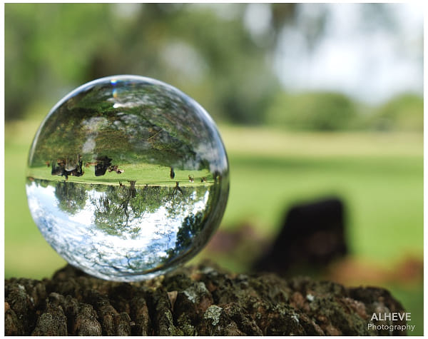 Reflections of Nature in a Crystal Sphere | creative photo by Alejandra ...