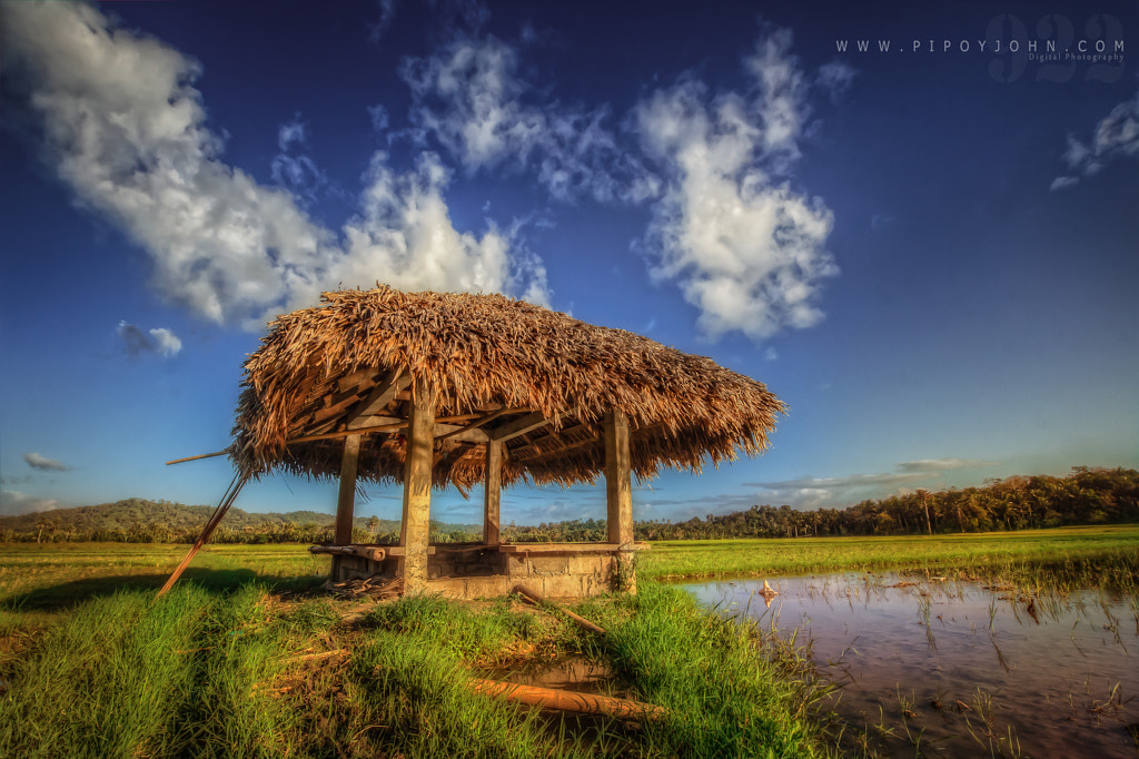 Munting Kubo sa Palayan (RiceField in the Philippines)HDR Photography ...