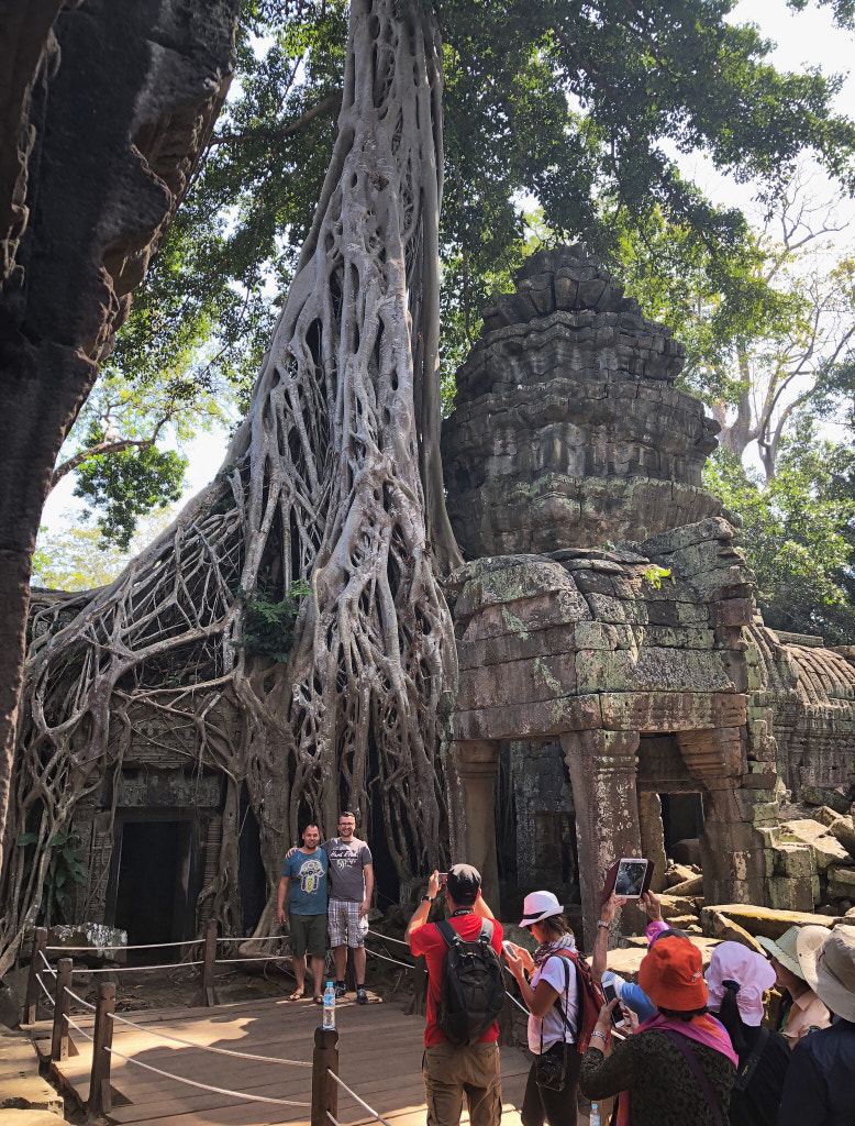 Strangler Figs by Ho Poh Wong | 500px