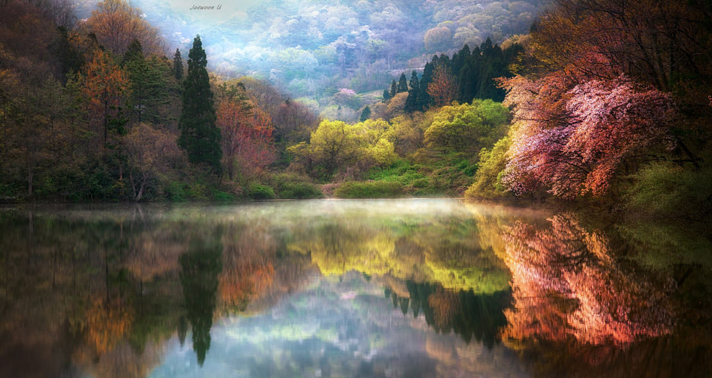 Dream of Spring by Jaewoon U / 500px