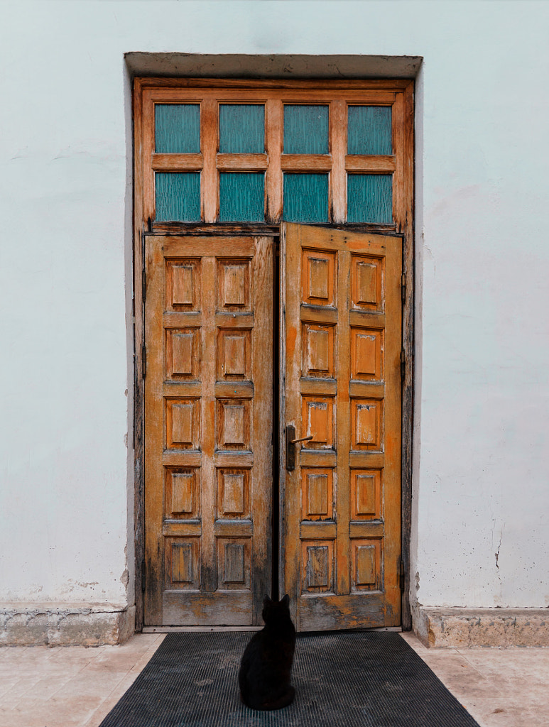 Please, do not enter, cat by Aleksandr Nadyojin / 500px