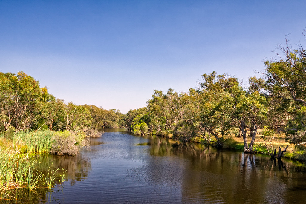 Canning River Regional Park - Western Australia by Paul Amyes | 500px