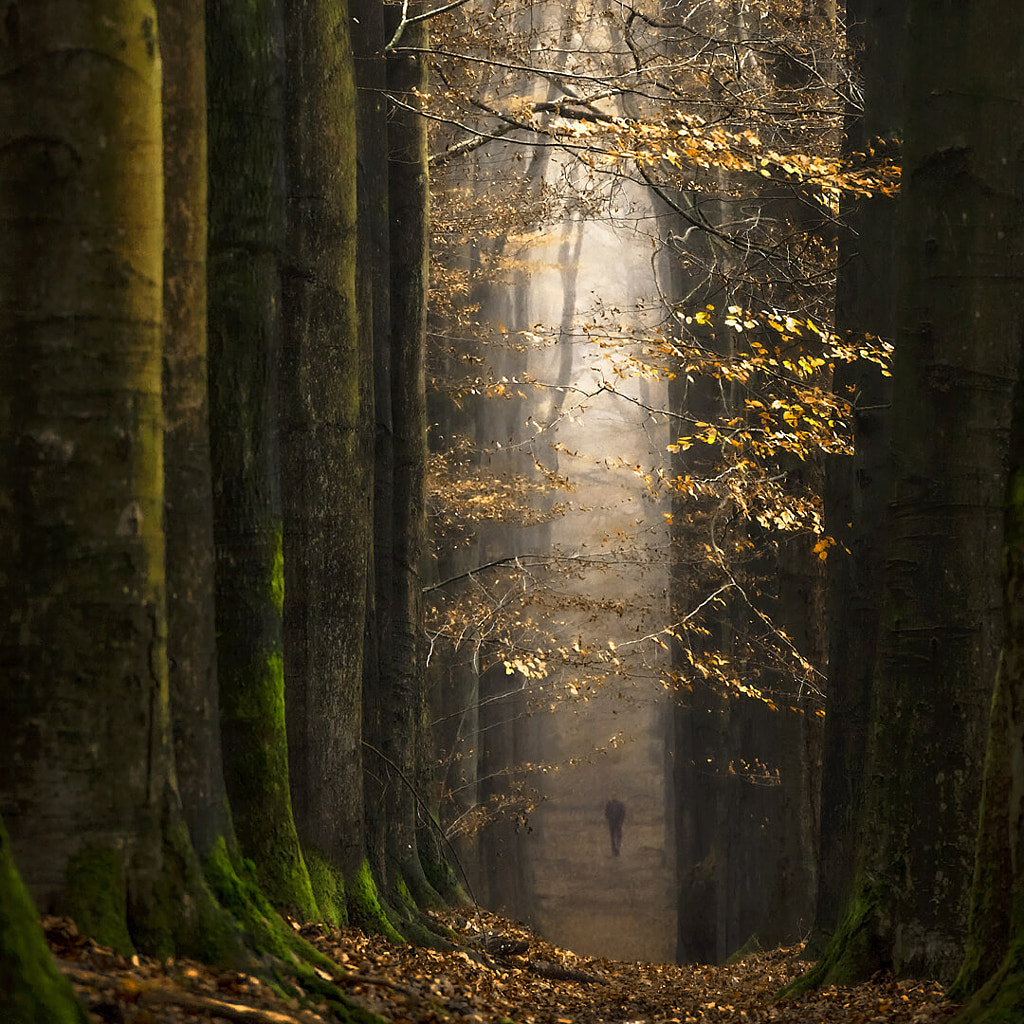 Lars van de Goor (larsvandegoor) Photos / 500px