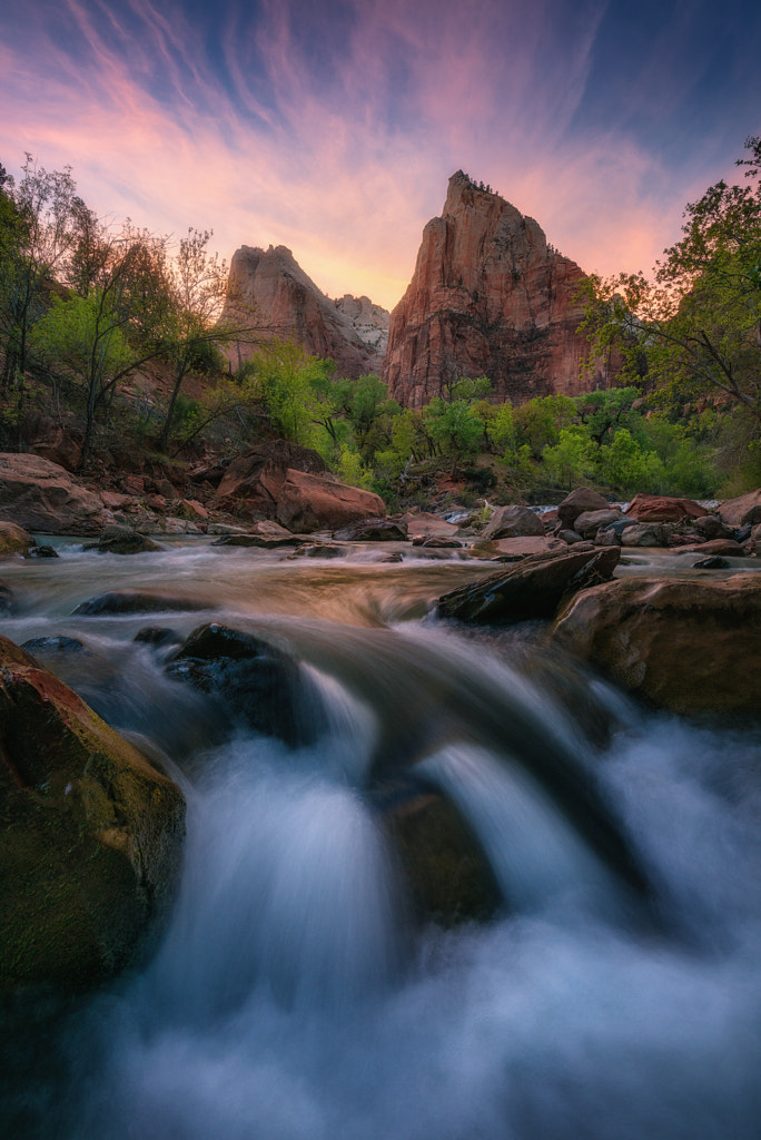 Fleeting Moments by Max Foster / 500px