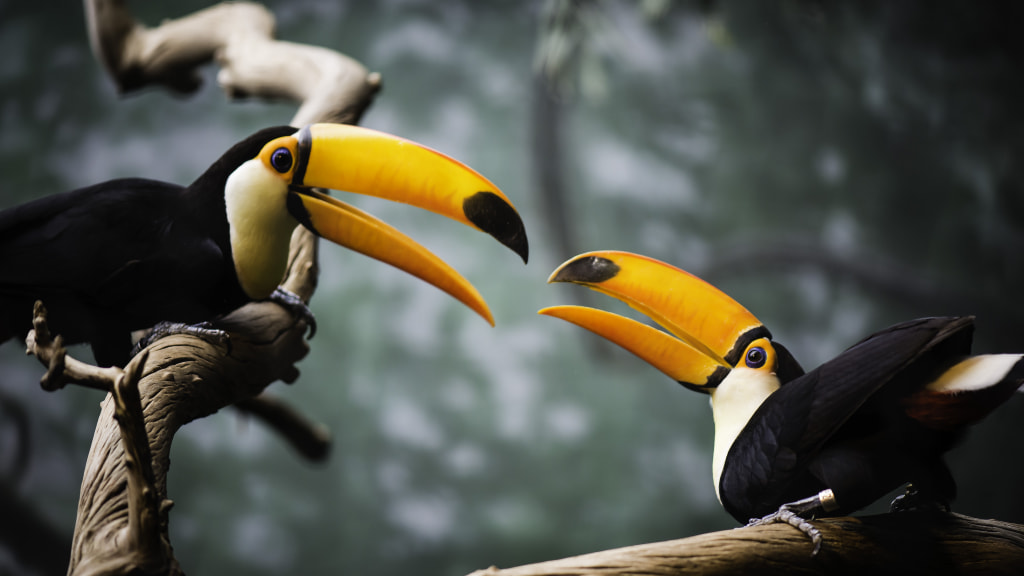 Tension by Kevin Luo / 500px