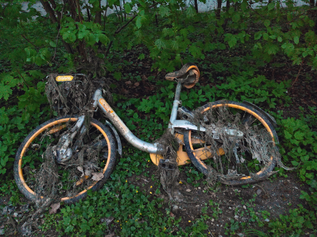 Bike Oh what happened here fin by Kilian Tribbeck / 500px