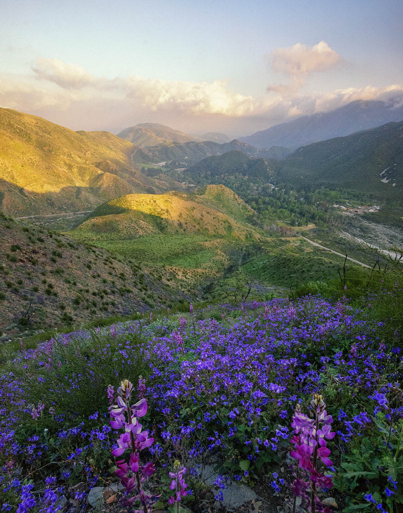 Lytle Creek Fire Bloom by Aaron Echols / 500px