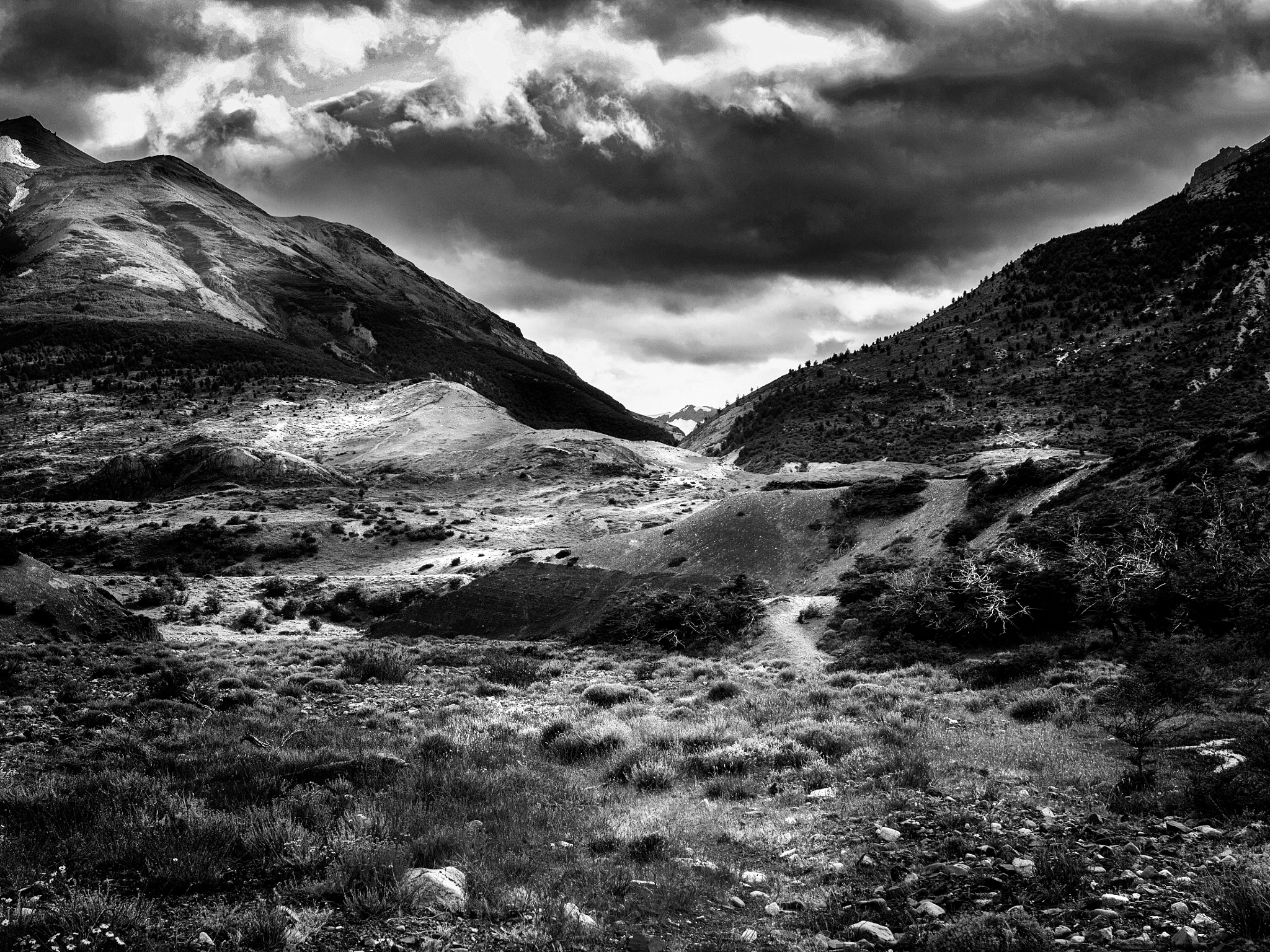 Petricor Photography (Petricor_Photography) Photos / 500px