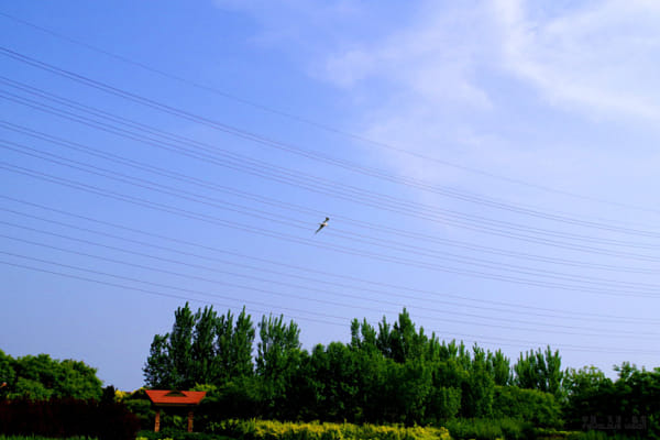 中国·天津·临港 by Frivolous Vision | 500px