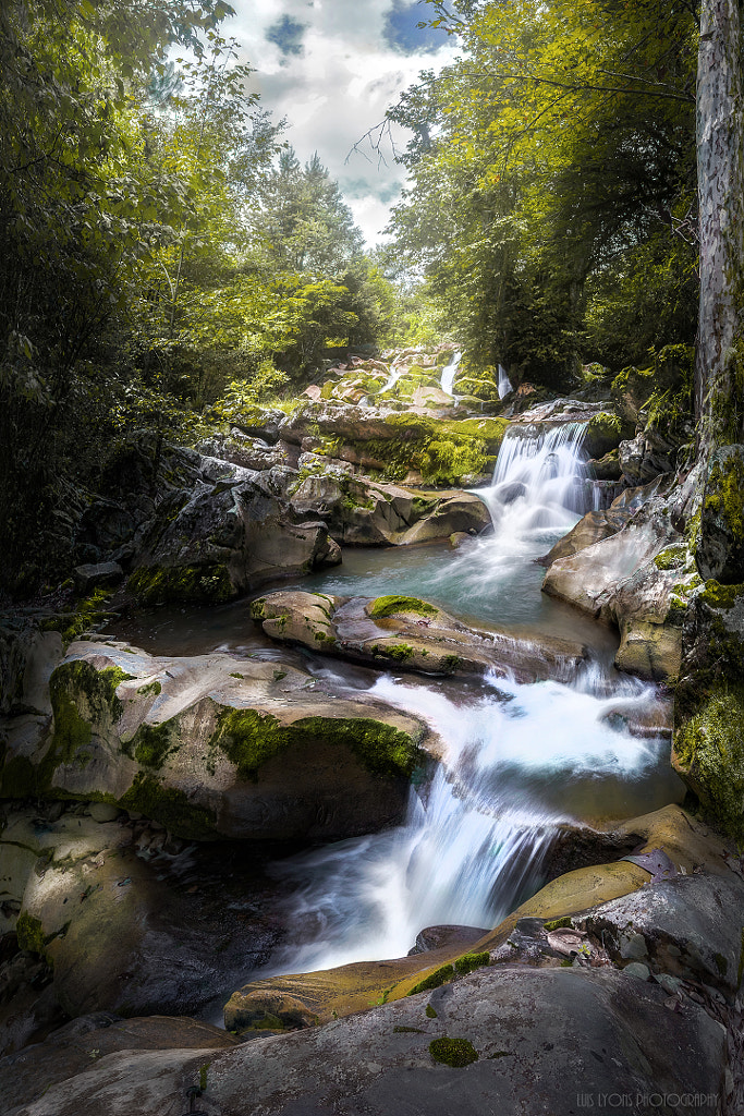 Mid Day Forest Riverflow by Luis Lyons / 500px