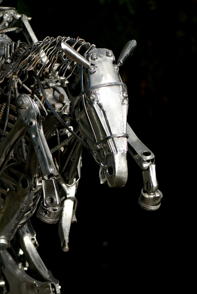 Steel Donkey by Jeremy Greenidge / 500px