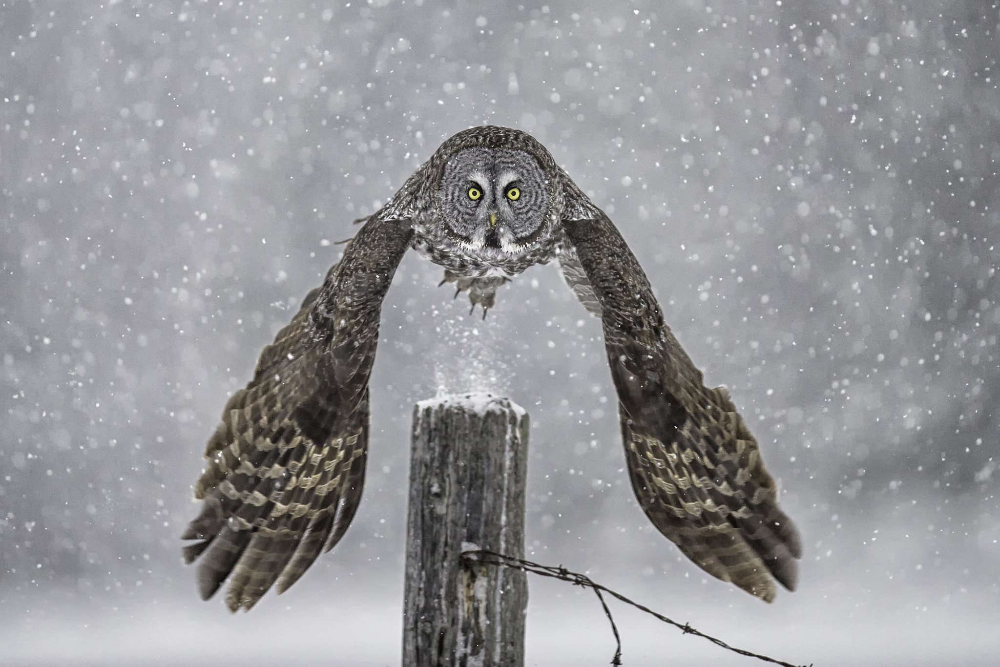 Take Off, Eh! by Daniel Parent / 500px