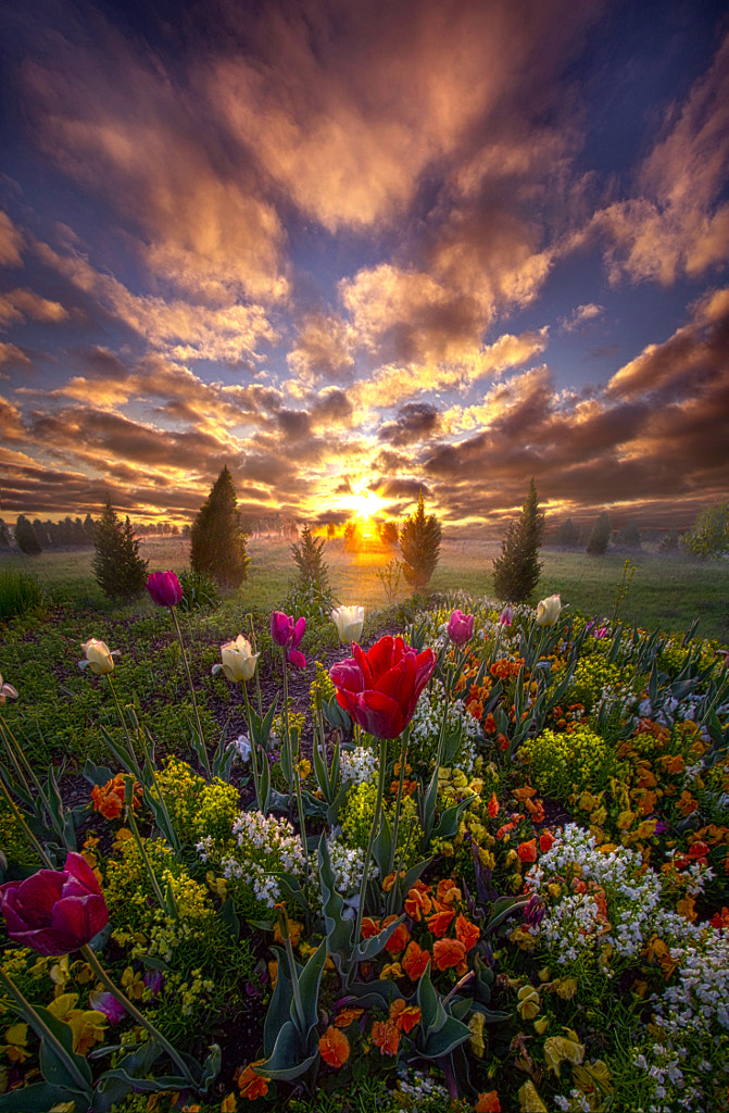 The Light That Shines Our Way Home by Phil Koch / 500px
