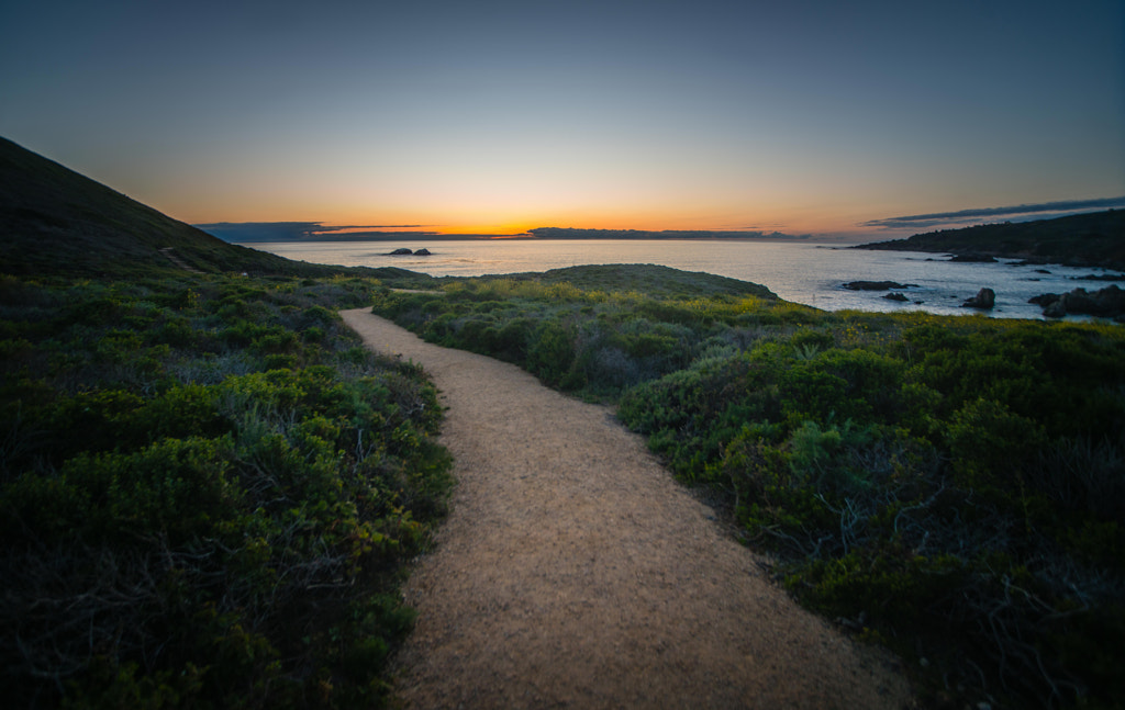 Greetings Fellow Wayfarer! – Shong-Na Yang