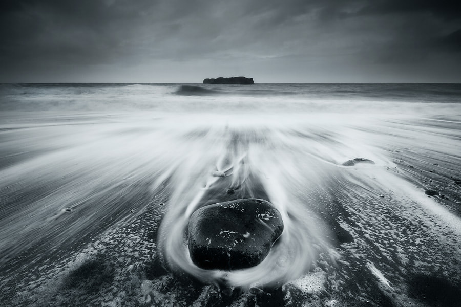 Black Rush by Dylan Toh & Marianne Lim / 500px