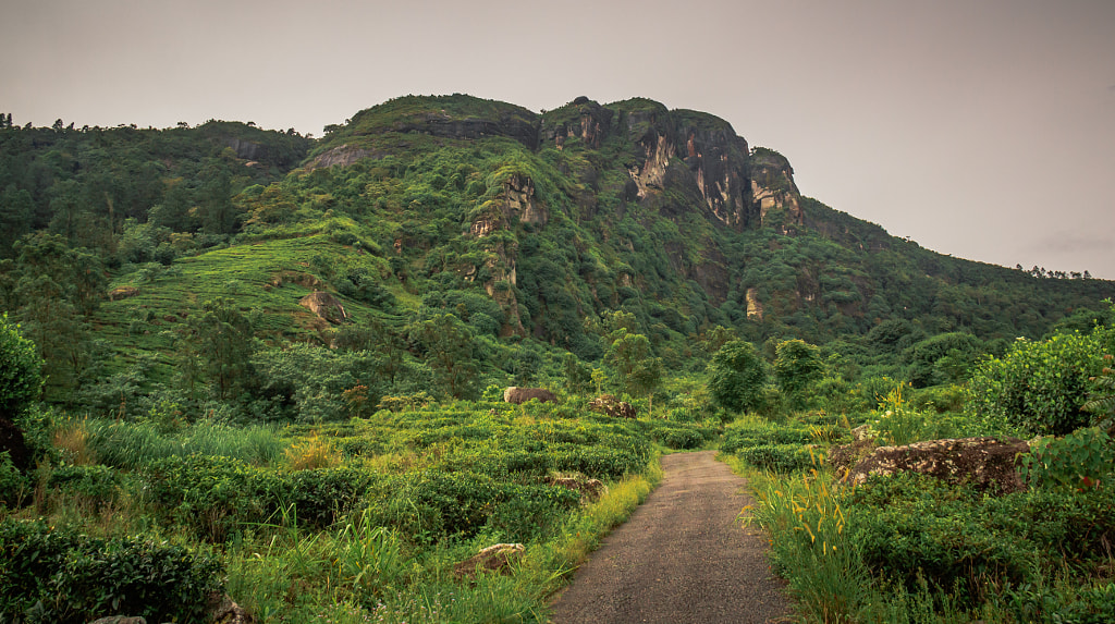 Driving in the Dolosbage Mountains, Sri Lanka – Son of the Morning Light