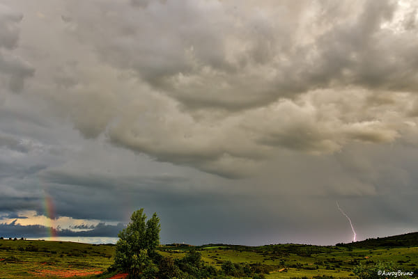 Nikon D750 + Nikon AF-S Nikkor 24-85mm F3.5-4.5G ED VR Nikon D750 + Nikon AF-S Nikkor 24-85mm F3.5-4.5G ED VR