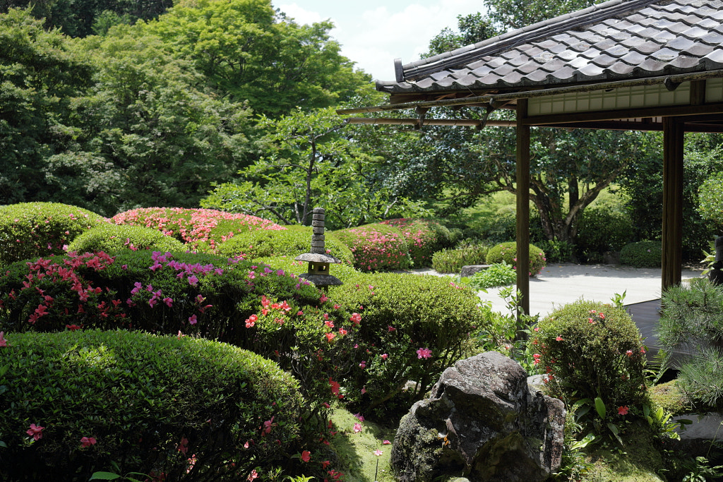 satsuki garden by Naruhiko Kawamura / 500px