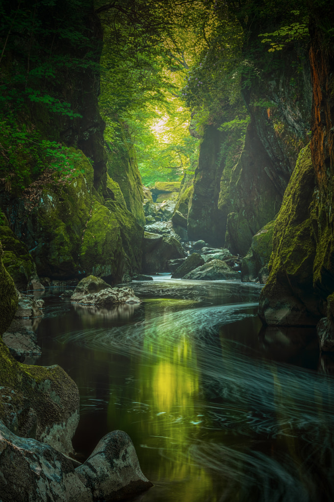 Fairy by Ivan Papcun / 500px