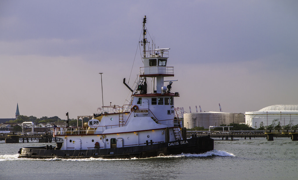 The Davis Sea by Dennis Arculeo / 500px