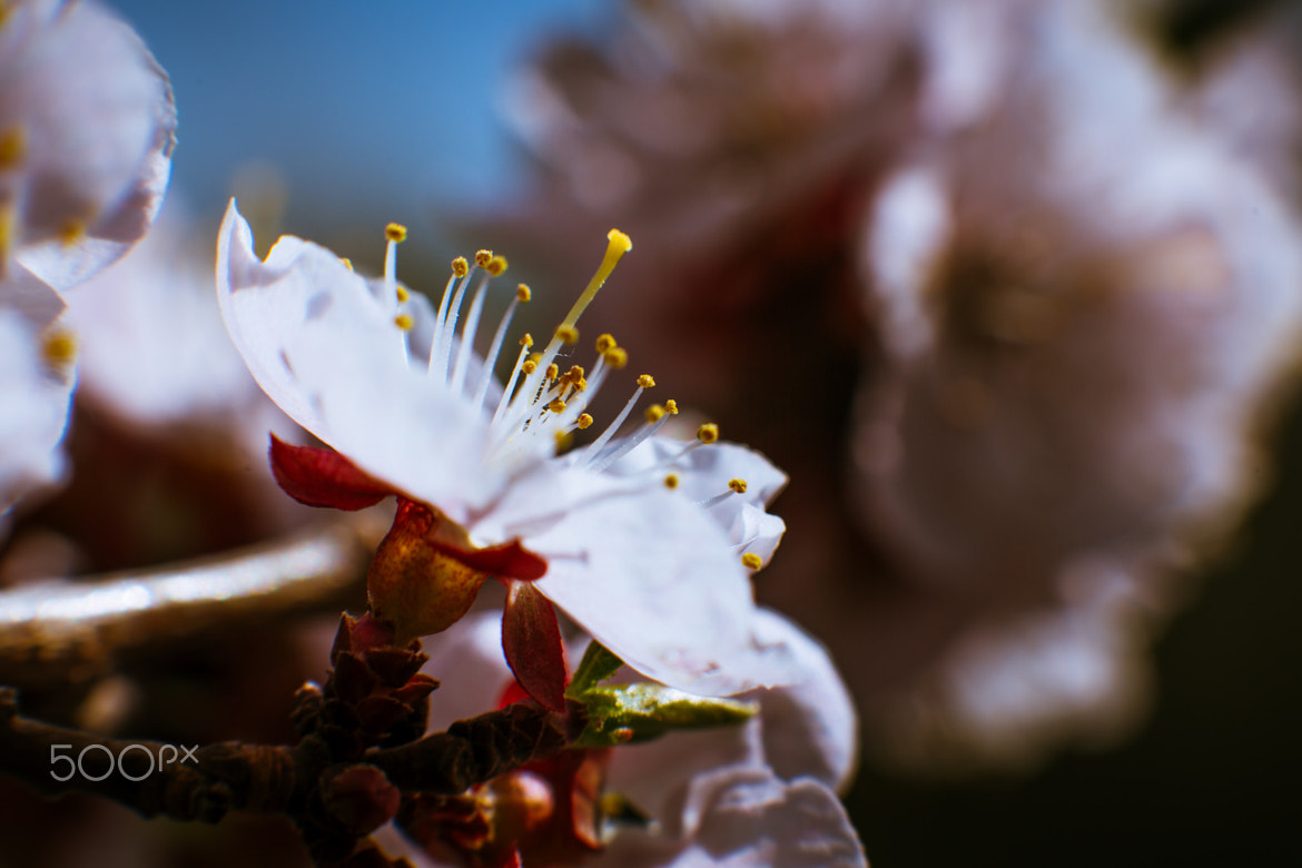 Ruslan Grigoriev (Ruslan117) Photos / 500px