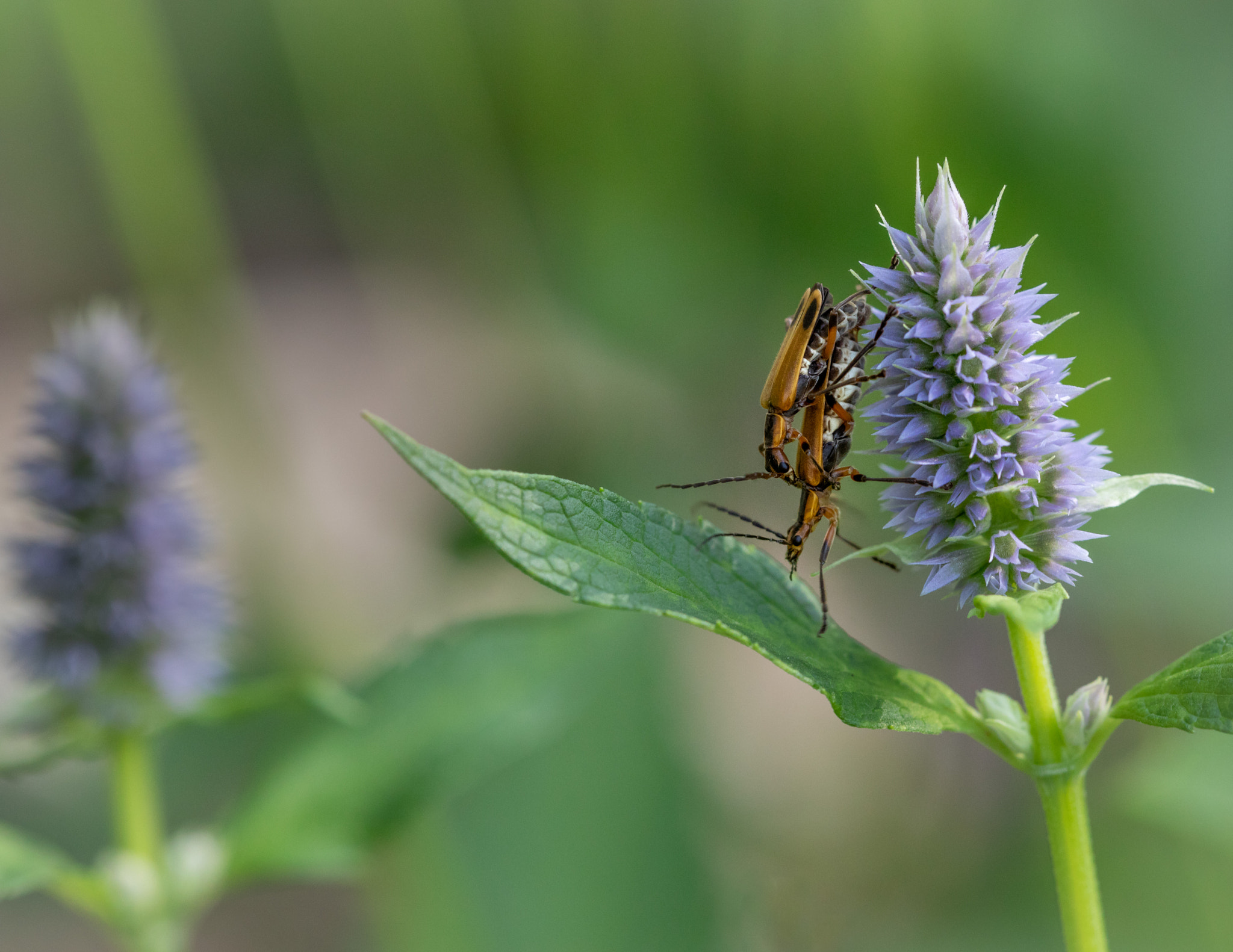 On the Downward Slope by Keith Krueger | 500px