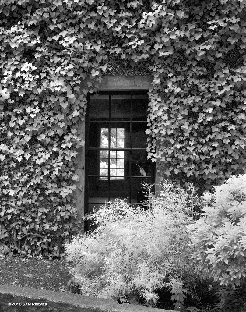 Flanders Mansion Window by Sam Reeves / 500px