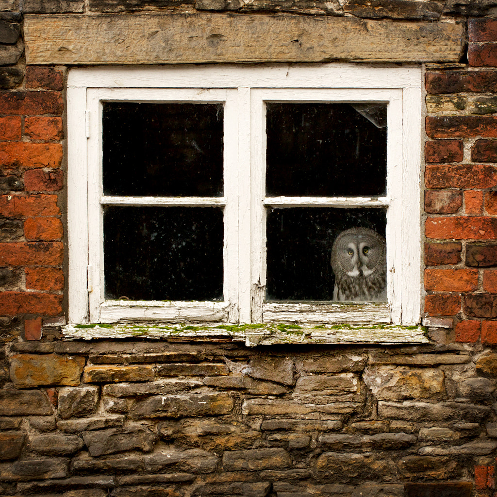 gandalf's house by Mark Bridger / 500px