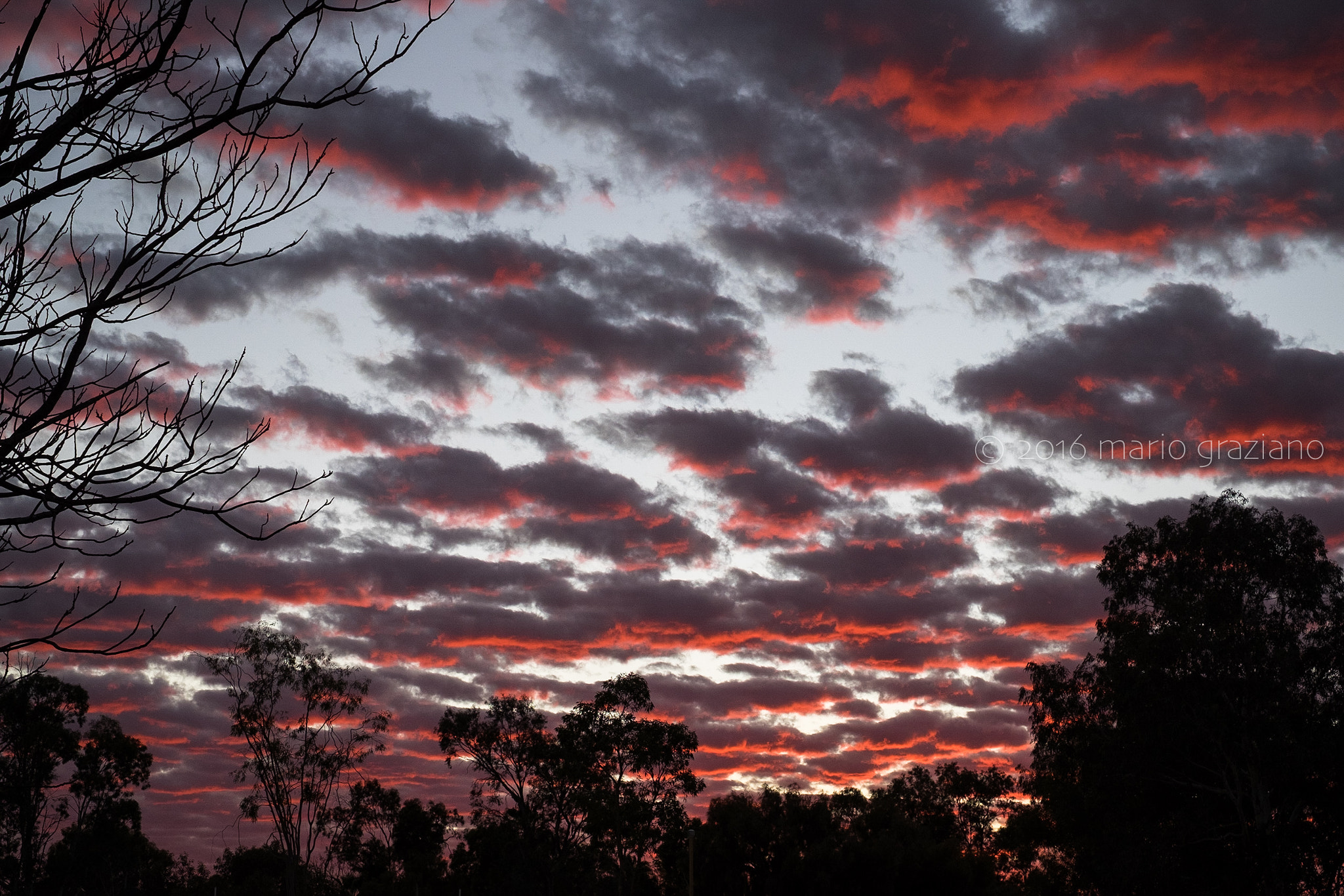 Fiery Sunset Over Distant Trees | nature photo by Mario Graziano | 500px