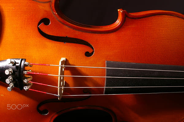 Viola Body by Charlie Schmidt | 500px