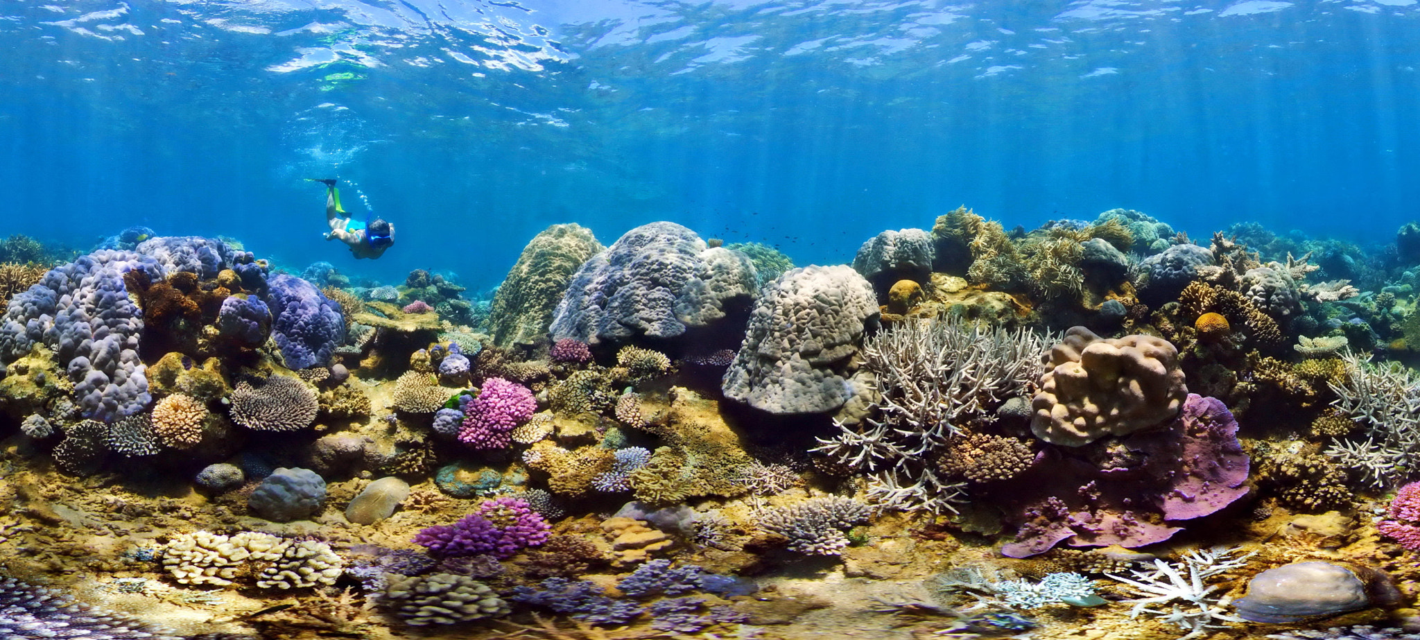 Coral Reef Panorama Dreamscape by Richard Chesher / 500px
