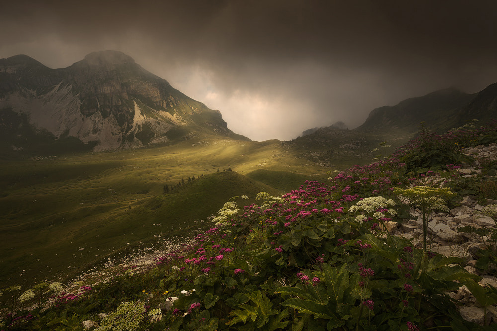 The wonders of Wonders Basin by Dino Marsango / 500px