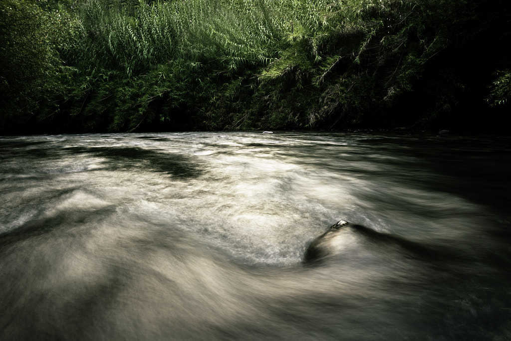 Flow by Alex Raihelgaus / 500px