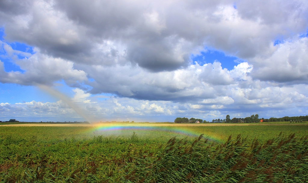 sprinkling with rainbow colors by Oomke Wiltjer / 500px
