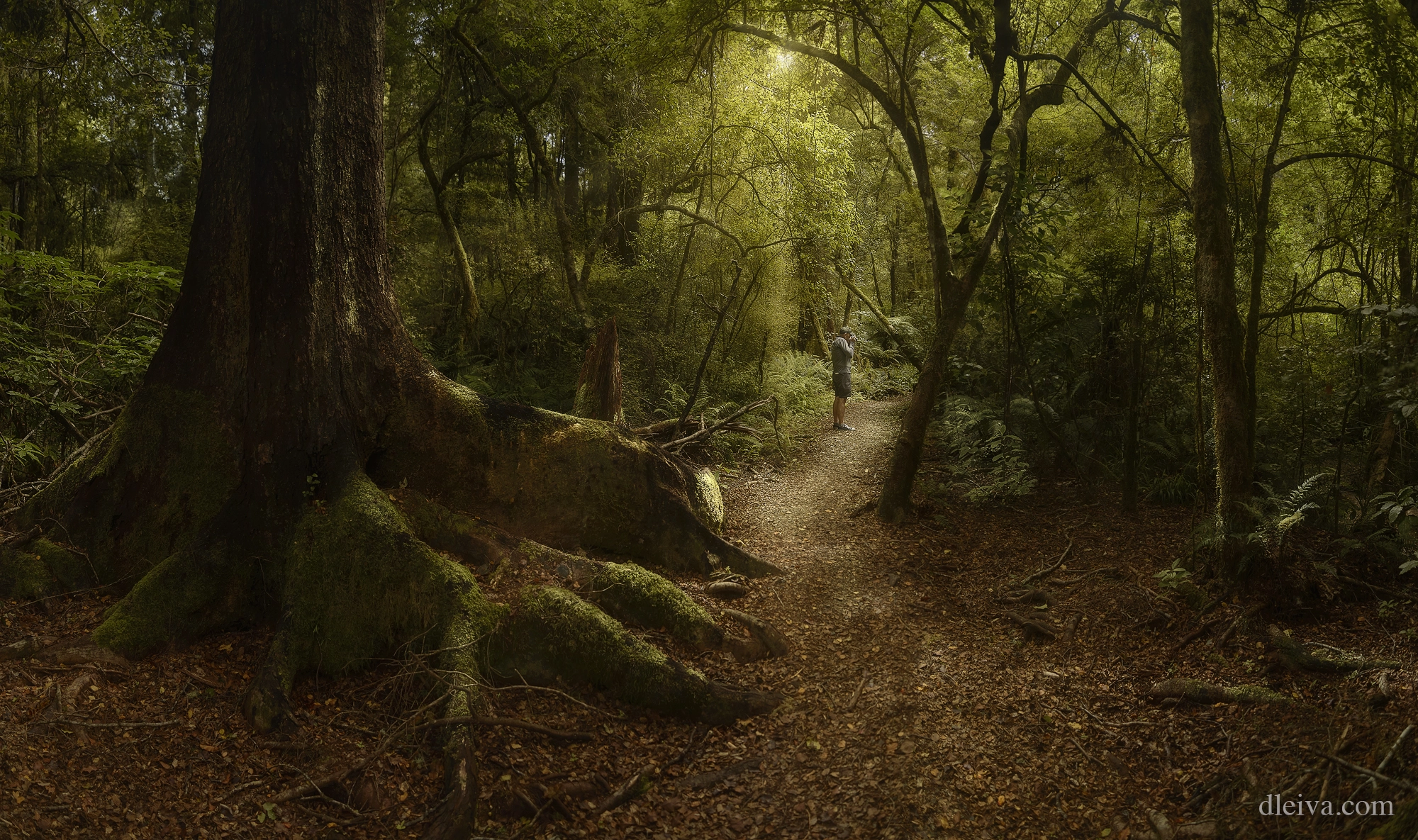 Domingo Leiva (dleiva) Photos / 500px