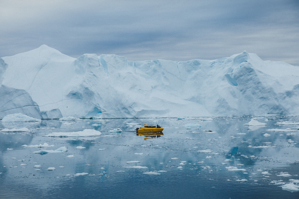 Sam Alive (SamAlive) Photos / 500px