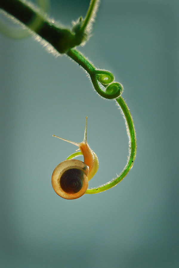 Simple Pose by Naa Bolang / 500px