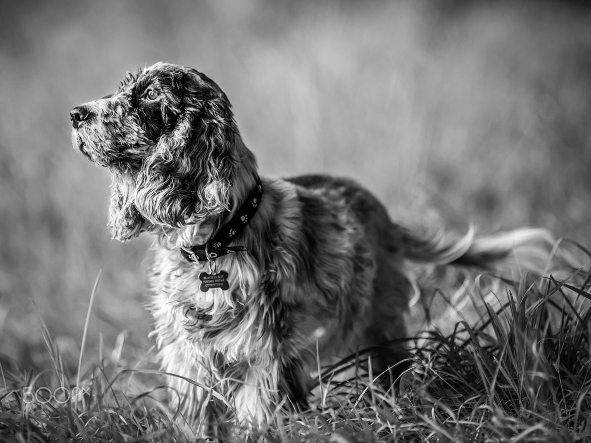 Greg Kirkpatrick (hippotech) Photos / 500px