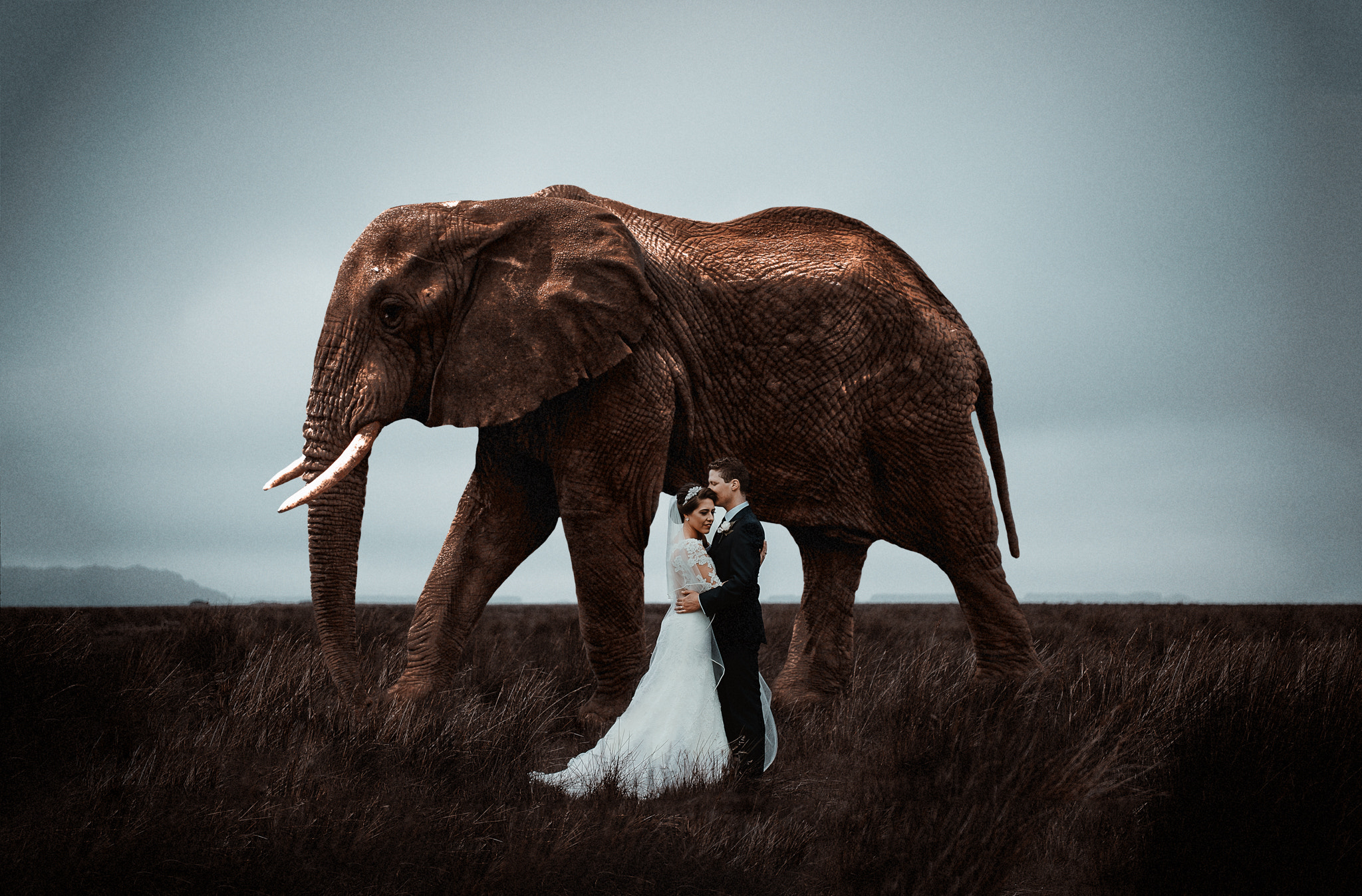 Elephant in the Room by Alex James / 500px
