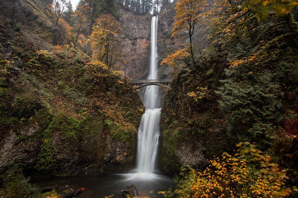 Multnomah Falls in Fall by Douglas Arnet / 500px