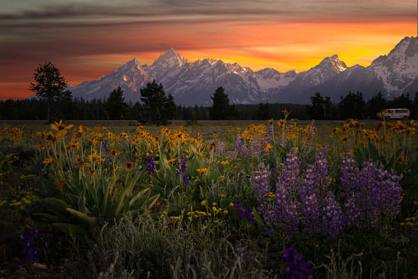 Chime by Kate Scott | 500px