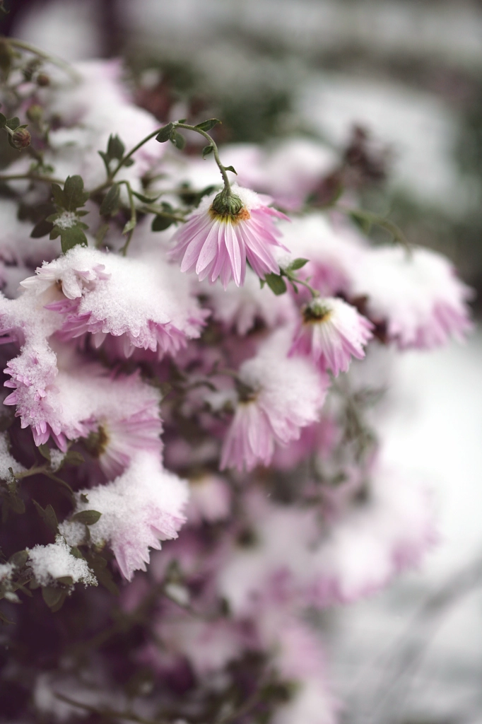 Cold time by Arkadii Shapoval / 500px