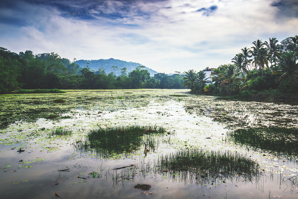 The Maramba Wewa – Son of the Morning Light