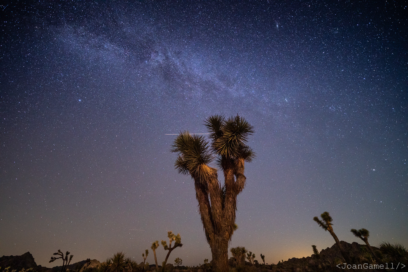 Joan Gamell (gamell) Photos / 500px