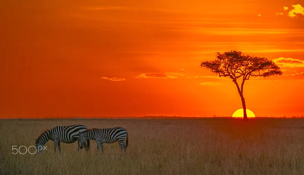 Melk Abbey by Joe Routon | 500px
