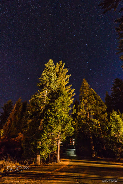 The Big Dipper Above Pine Trees by Monkeysee | 500px
