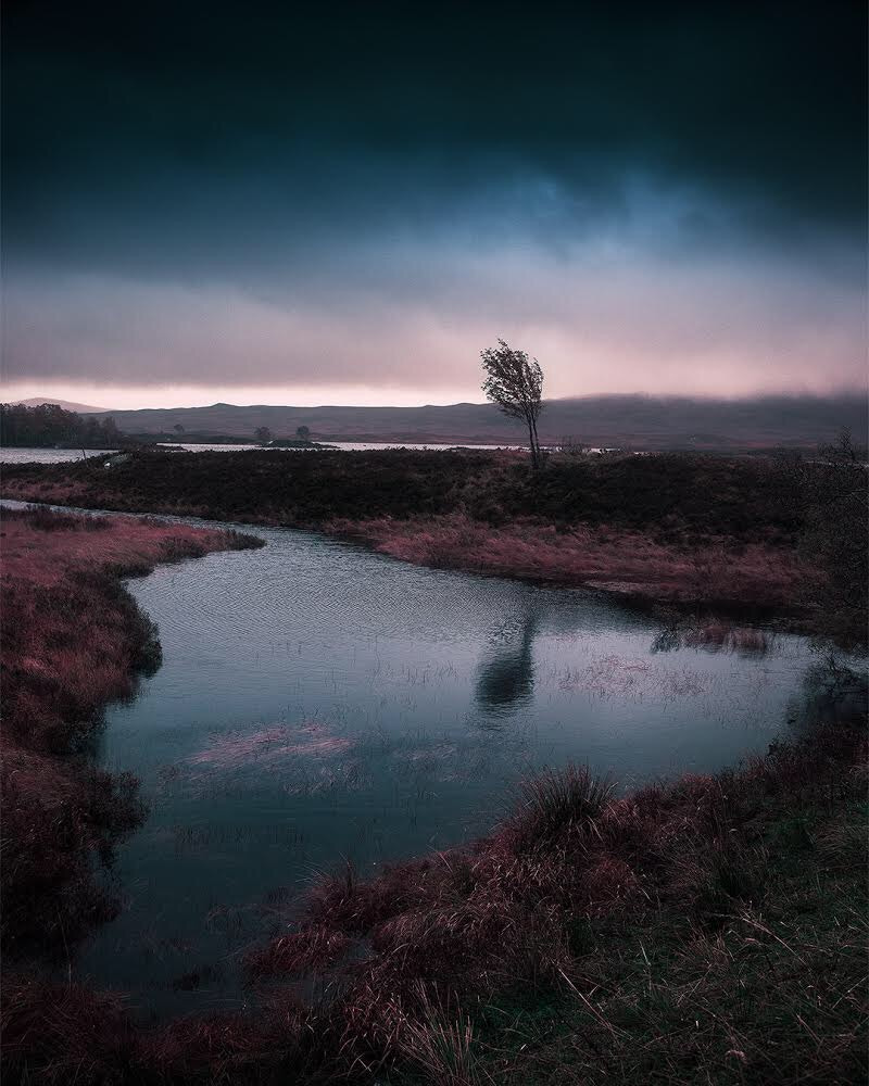 The Tree of Life by Romain Matteï / 500px