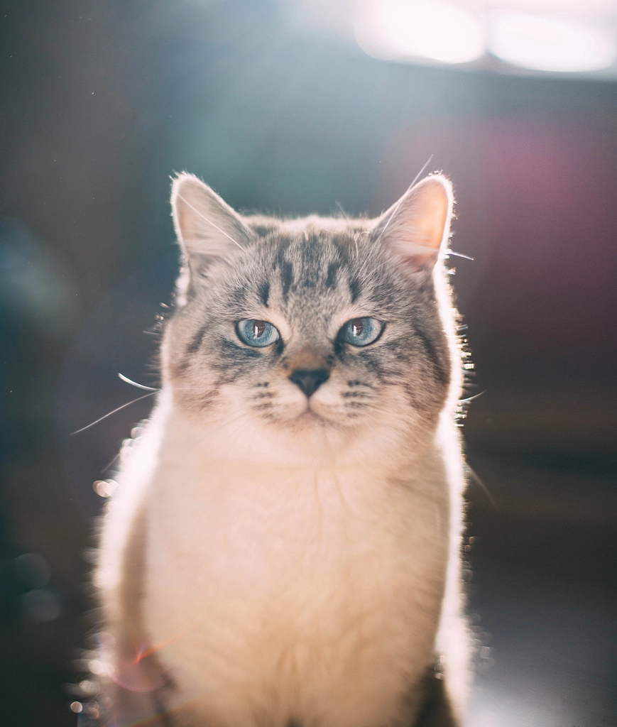 Yuki by Alex Oancea / 500px