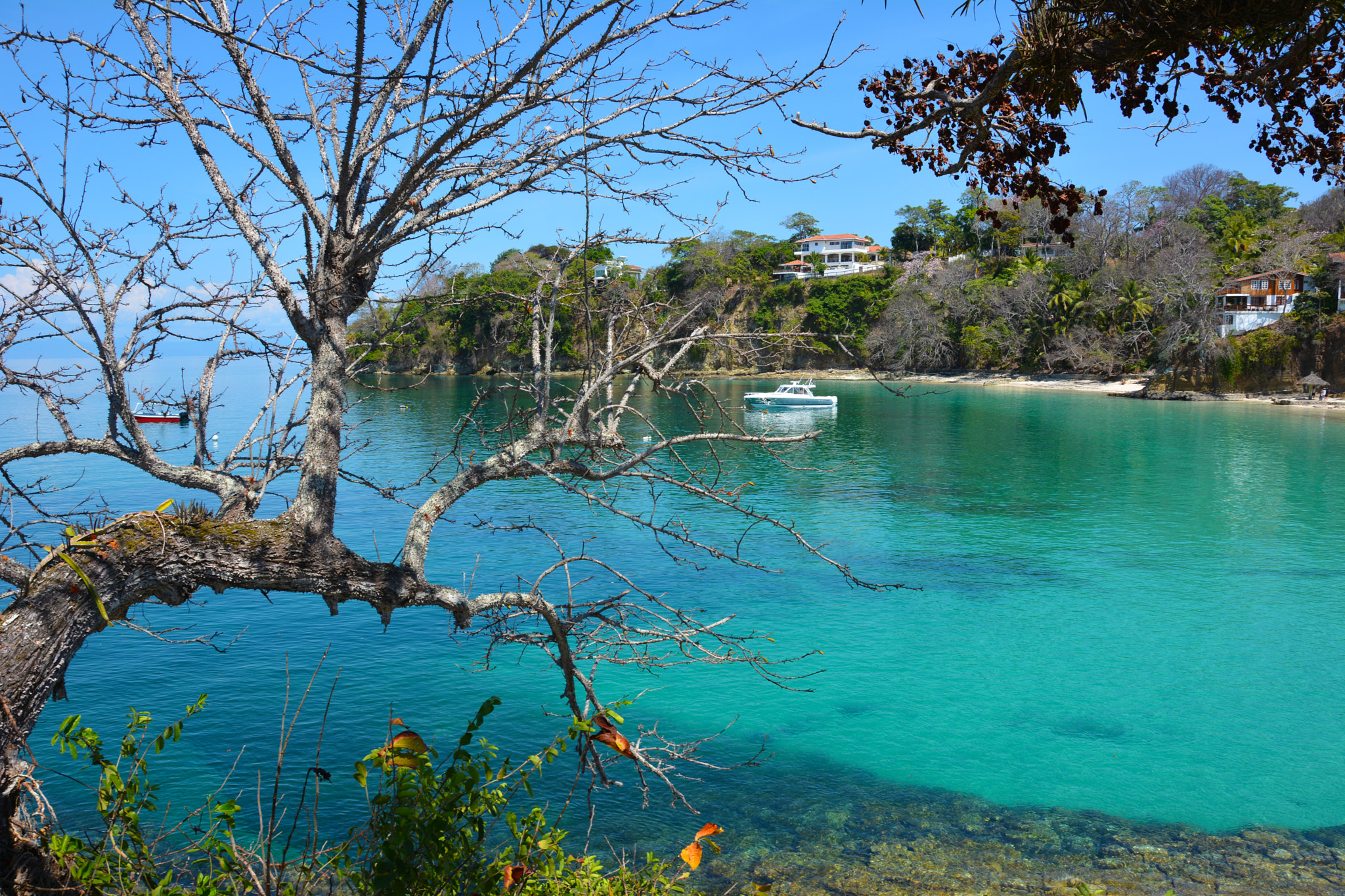 Isla Contadora by Caroline Gagné | 500px