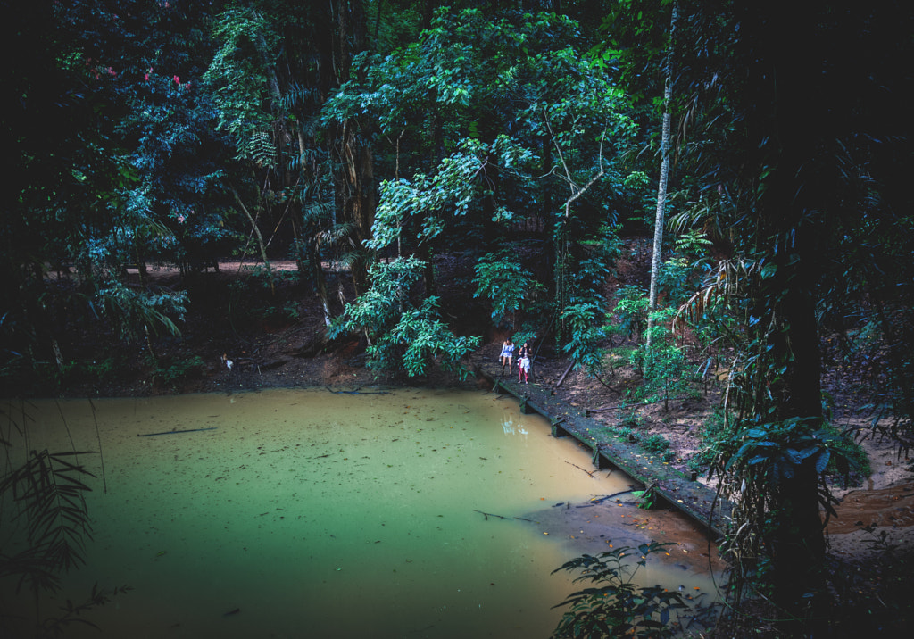 Exploring the Udawatte Kele Forest Reserve, Kandy, Sri Lanka #9 – Son ...